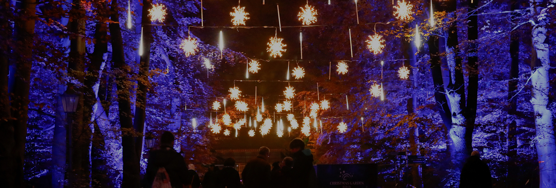 J.M.X Lighting: Exploring the Infinite Possibilities of Controllable ...